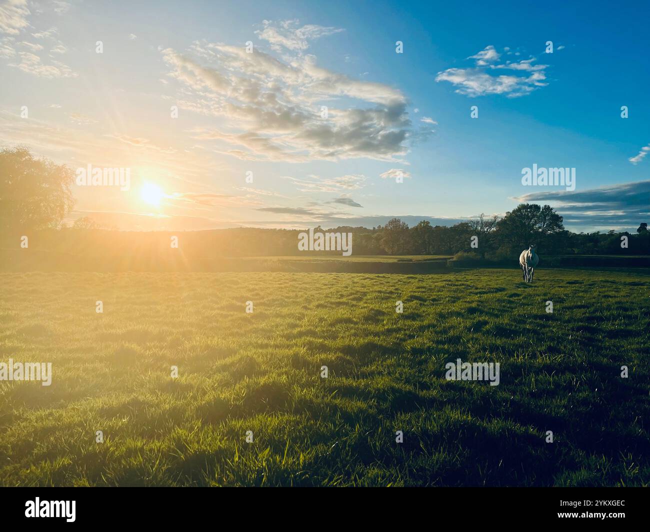 Lovely may day weather hi-res stock photography and images - Alamy