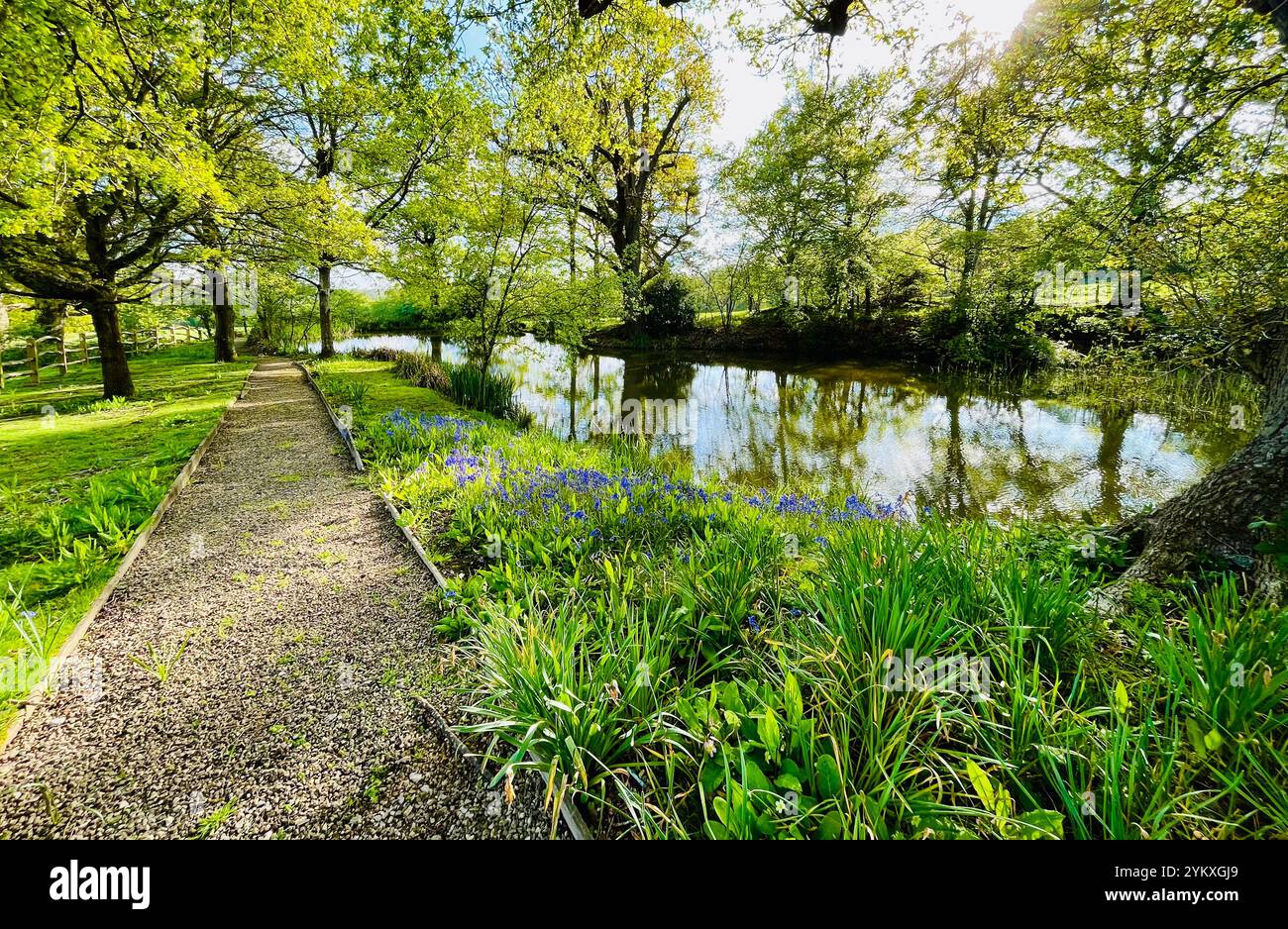Lovely nature england hi-res stock photography and images - Alamy