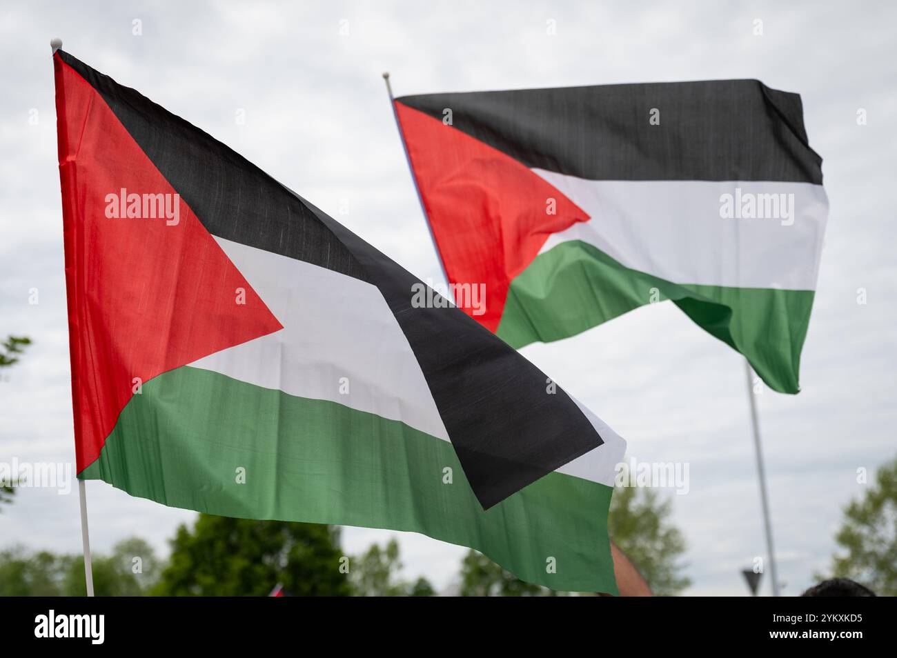 Palestinian flag illustration hi-res stock photography and images - Alamy