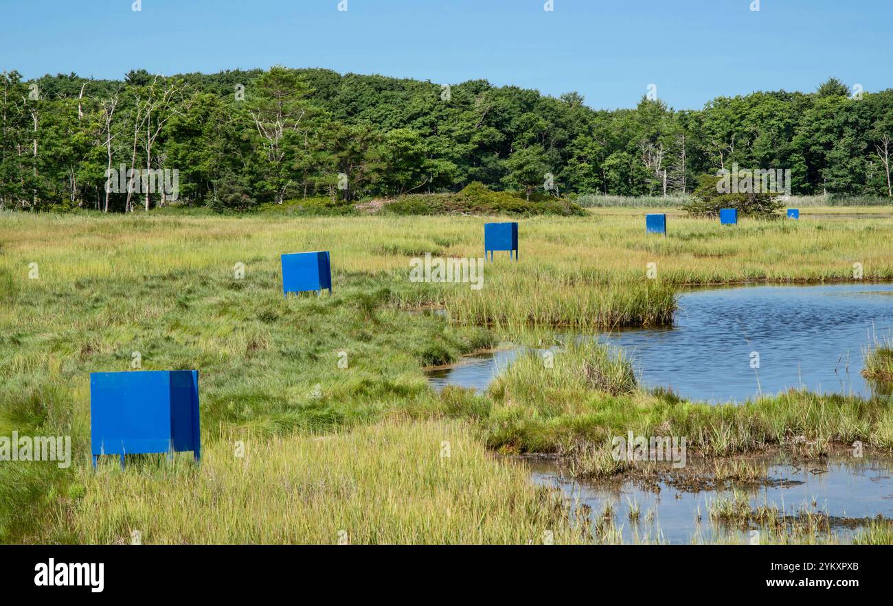 Salt Marsh Fly Traps: Large blue boxes trap greenhead flies as part of ...