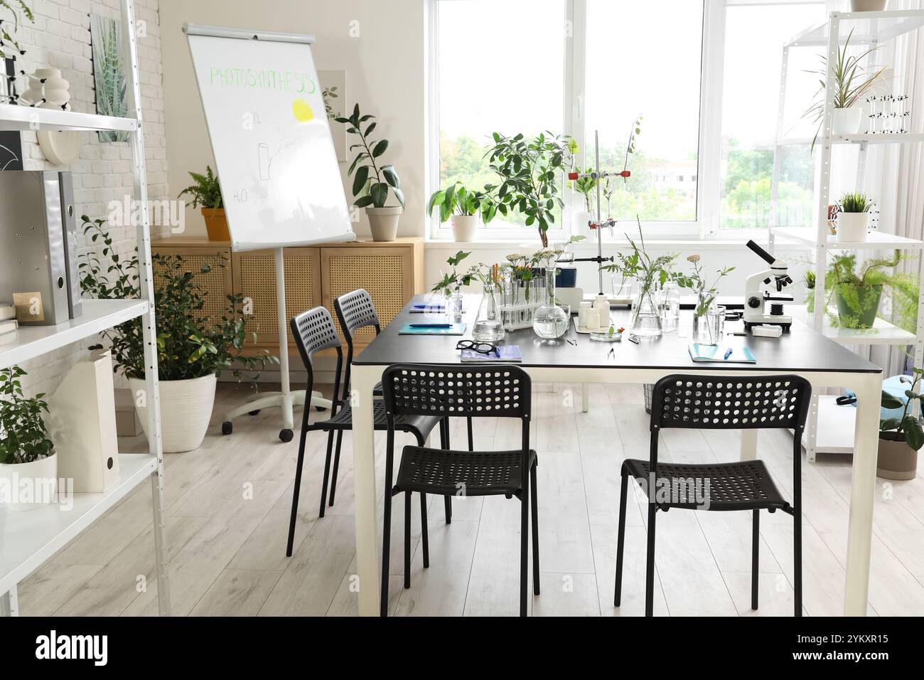 Interior of Biology classroom with table, flasks and plants Stock Photo ...