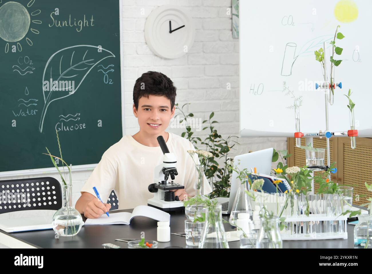 Teenage boy studying in Biology class at school Stock Photo - Alamy