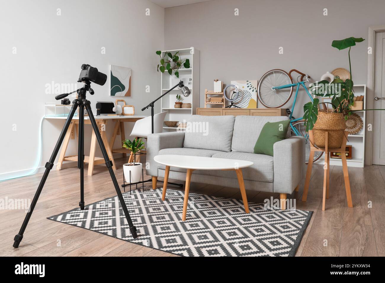 Interior of podcaster's studio with workplace, sofa and plants Stock ...