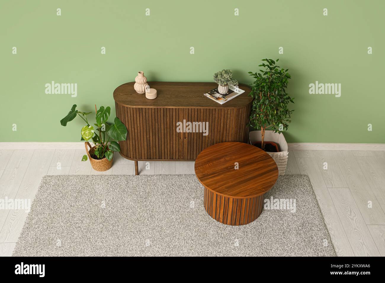 Chest of drawers, coffee table and houseplants near green wall in room ...