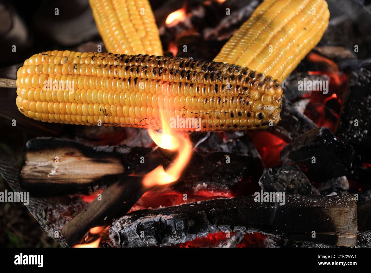 Close Up Roasting Corn with the Cob on the Campfire Stock Photo - Alamy