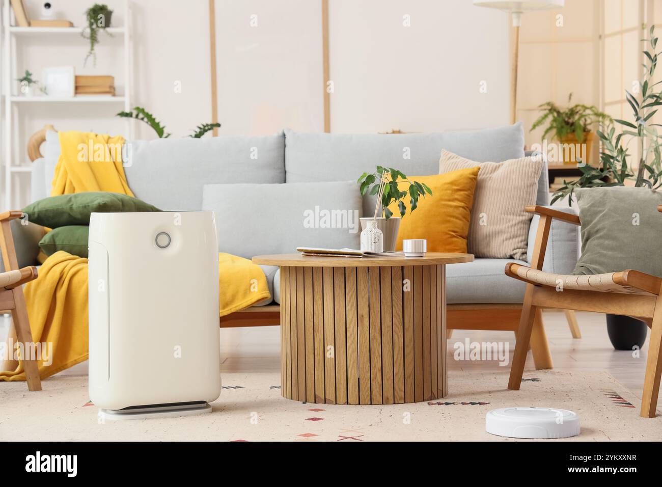 Interior of stylish living room with armchairs, modern air humidifier ...
