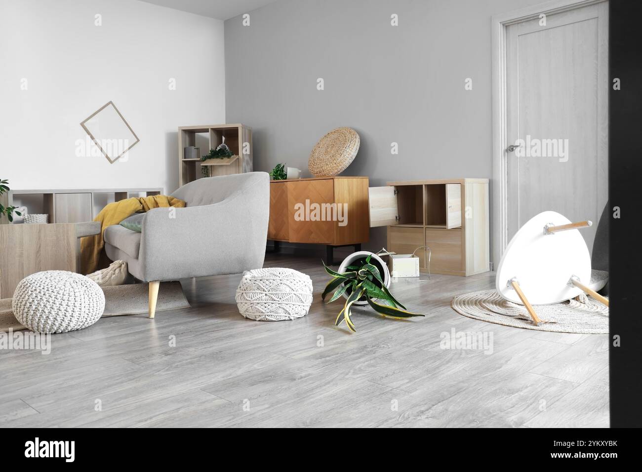 Interior of messy living room with sofa, overturned table and plants ...