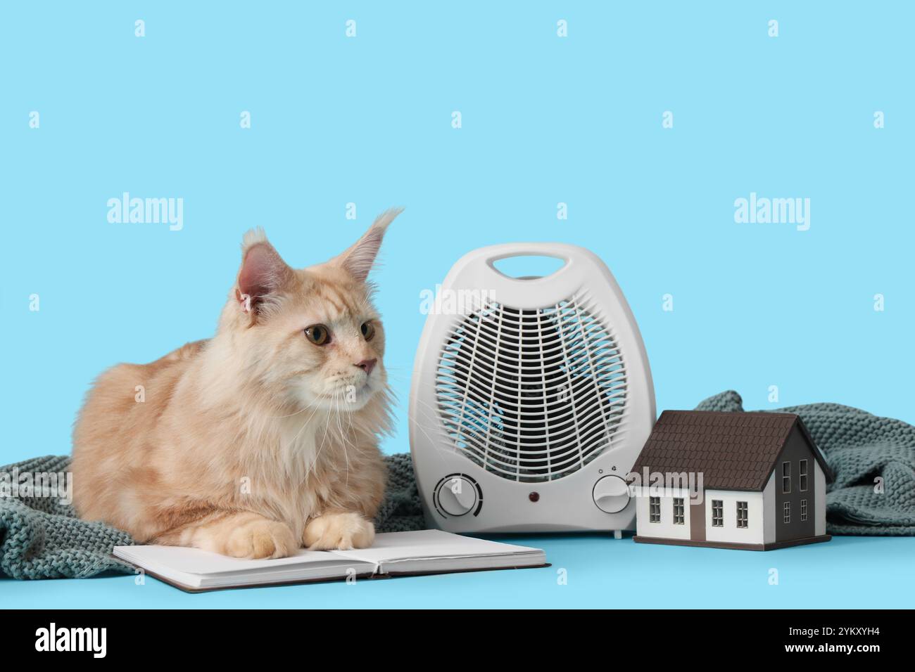 Cute Maine Coon cat with book, electric fan heater and house model on ...