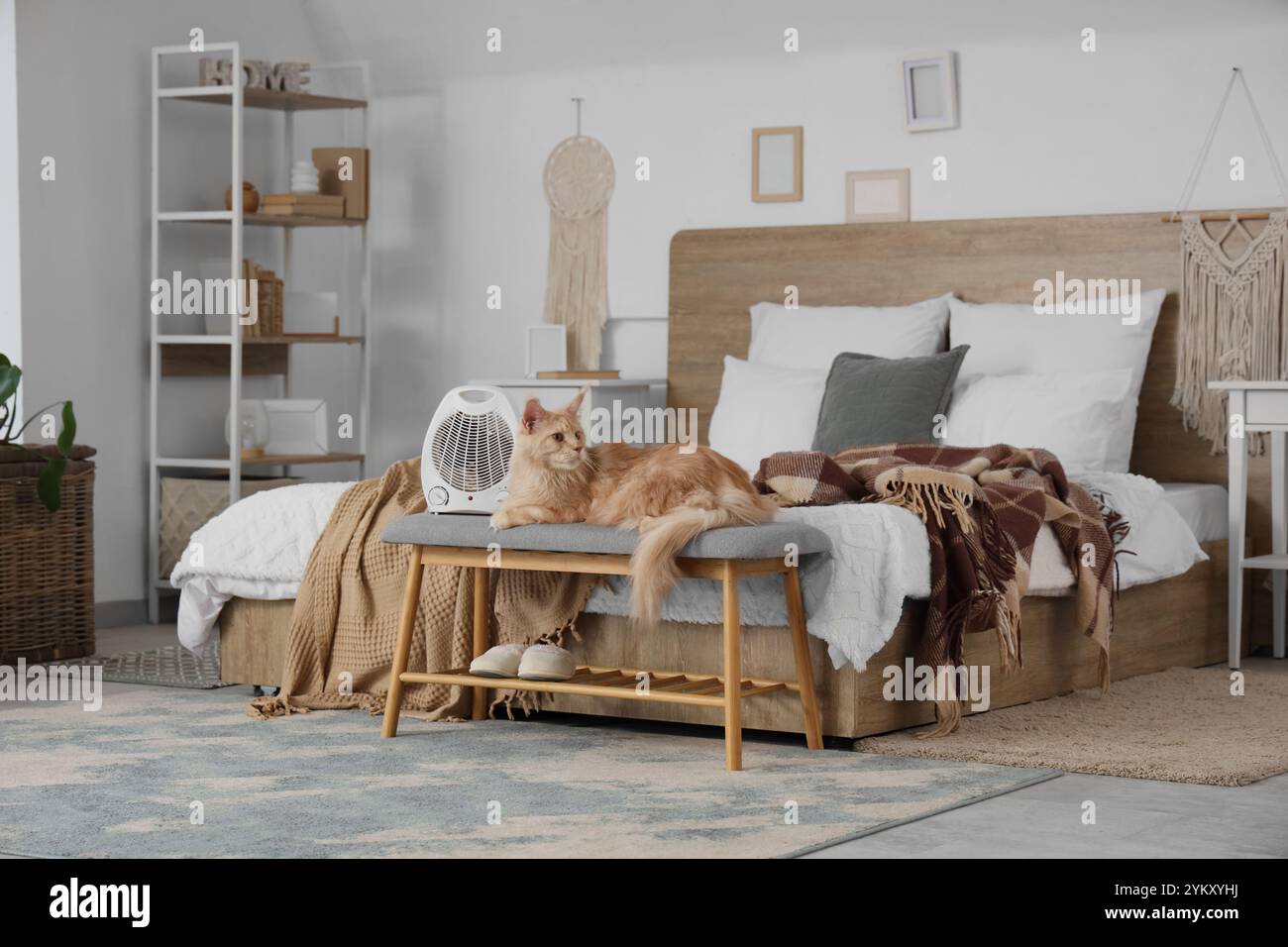 Cute Maine Coon cat with electric fan heater lying on soft bench in ...