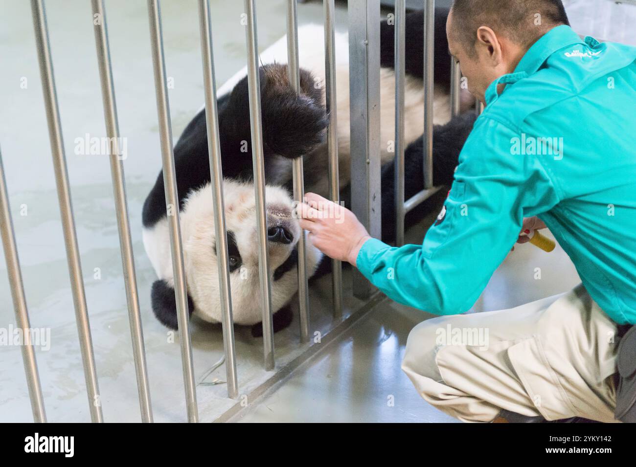 Official White House photographs from the Trump Administration. Donald ...