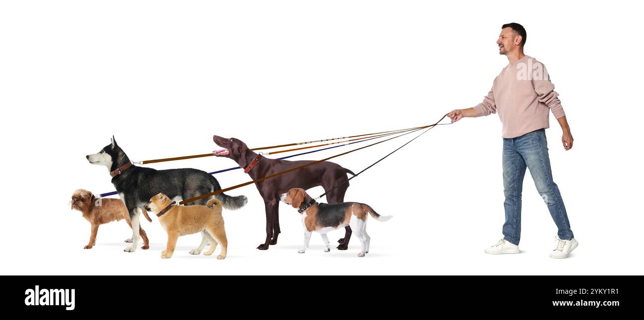 Man with five different dogs on white background. Dog walking service ...