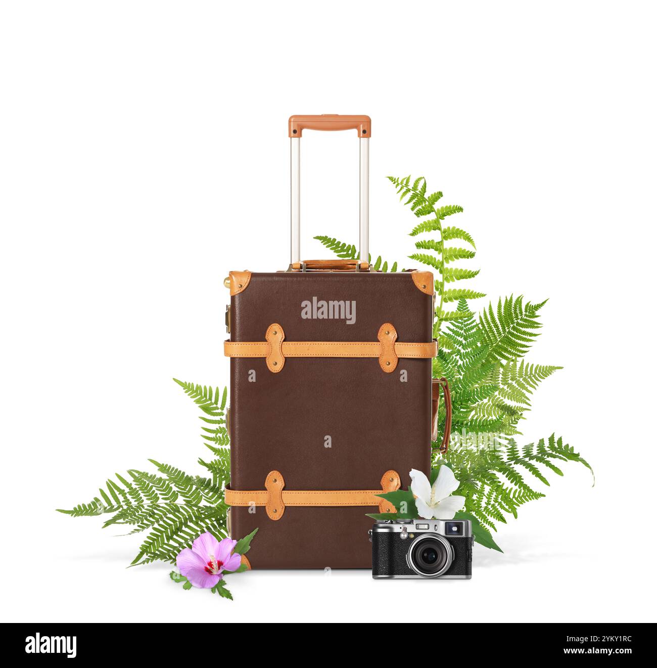 Camera on plane flight Cut Out Stock Images & Pictures - Alamy