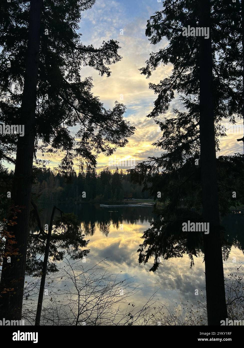 Lake view through trees Stock Photo - Alamy