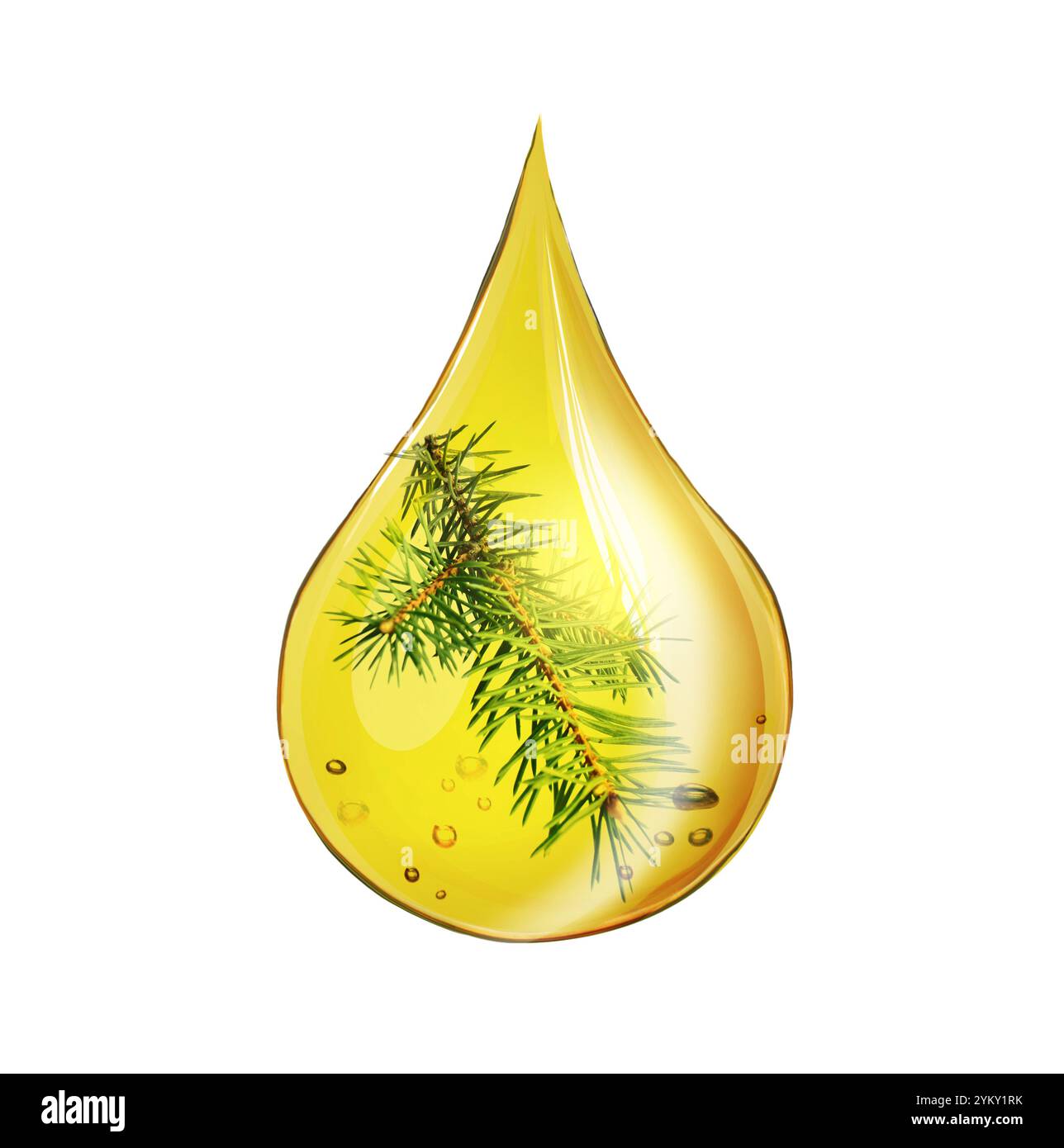 Conifer essential oil drop with fir tree branch inside on white ...