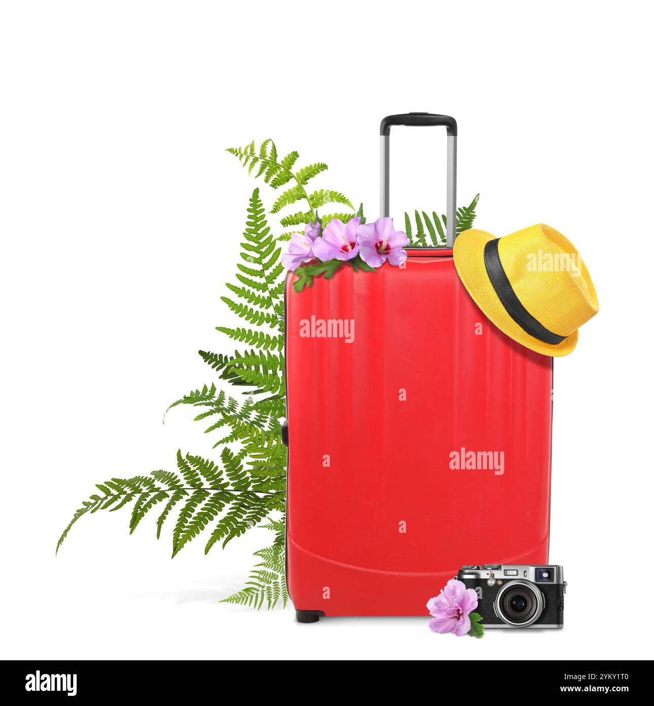 Red travel suitcase, camera, hat, tropical leaves and flowers on white background Stock Photo ...