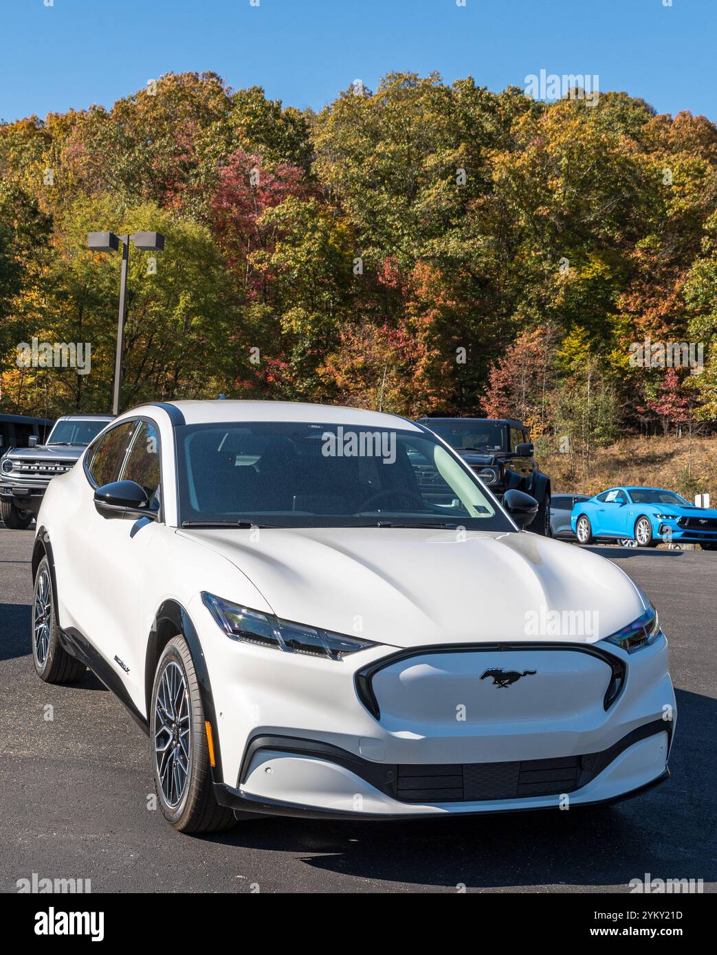 A Ford Mustang Mach E X sedan electric vehicle for sale at a dealership ...