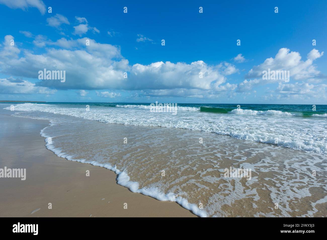 Scenic view of idyllic Flinders Beach with lapping waves, North ...