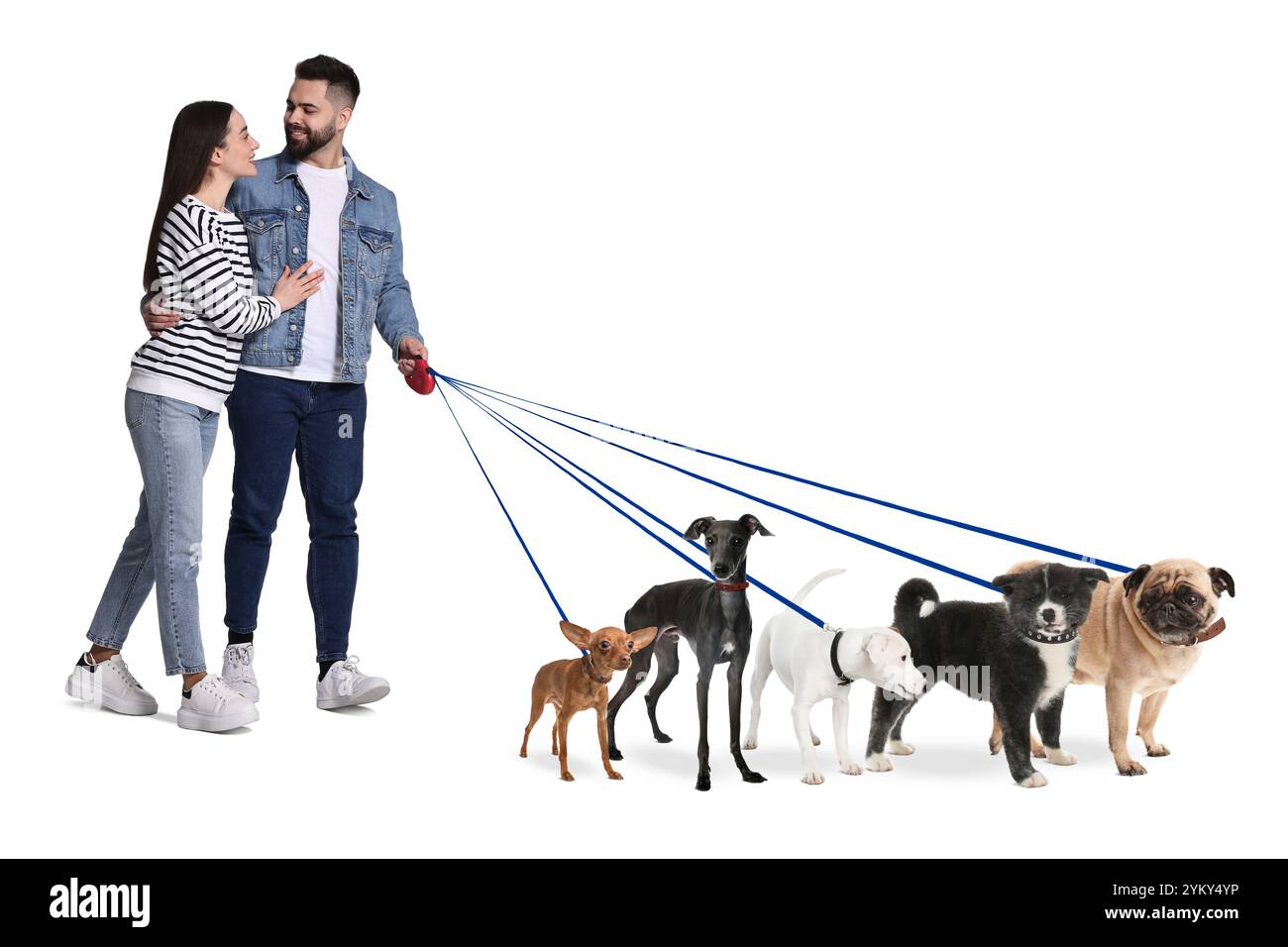 Young man and woman with five different dogs on white background. Dog ...