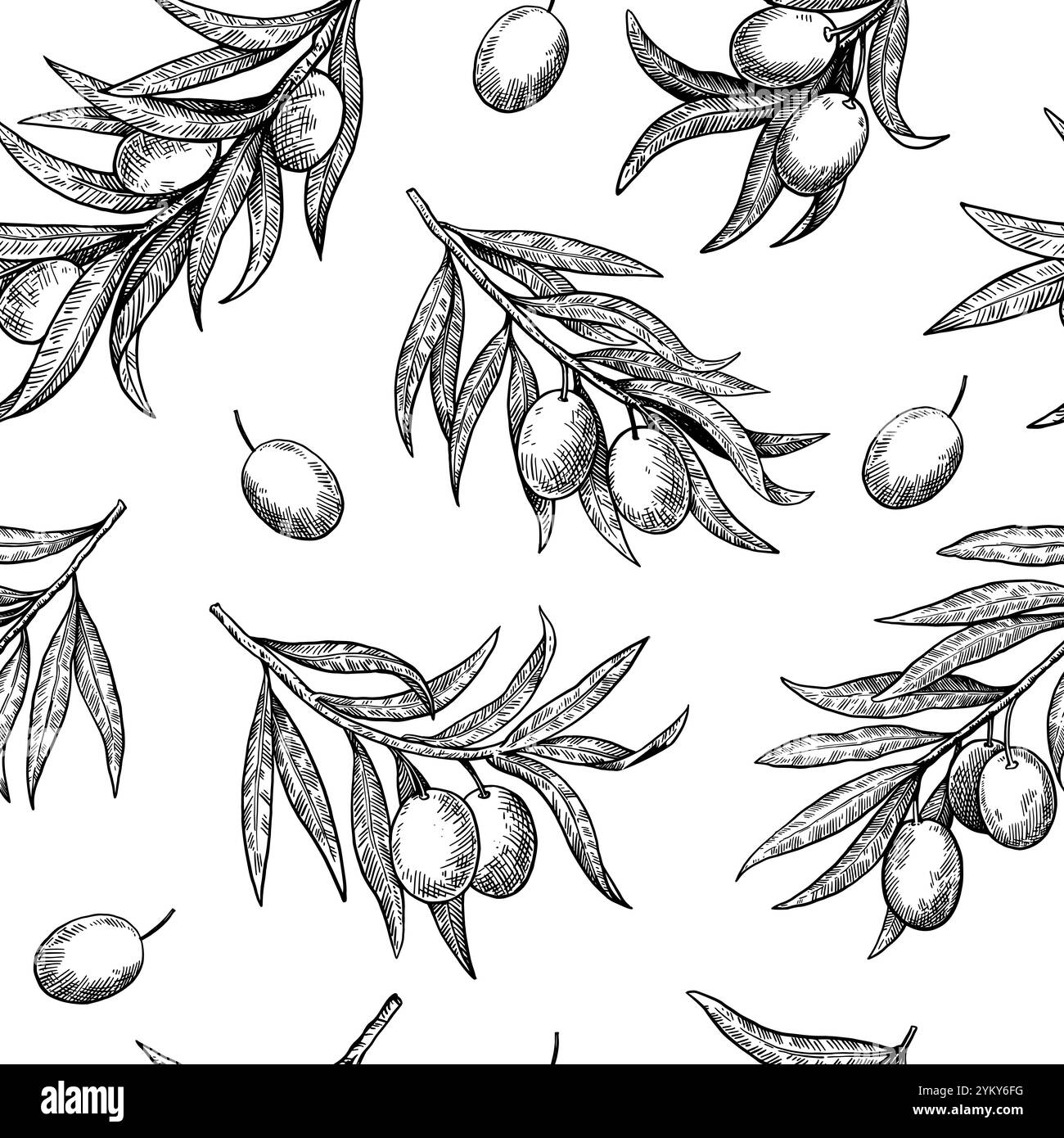 Monochrome seamless pattern of olive branches in engraving style. Hand ...