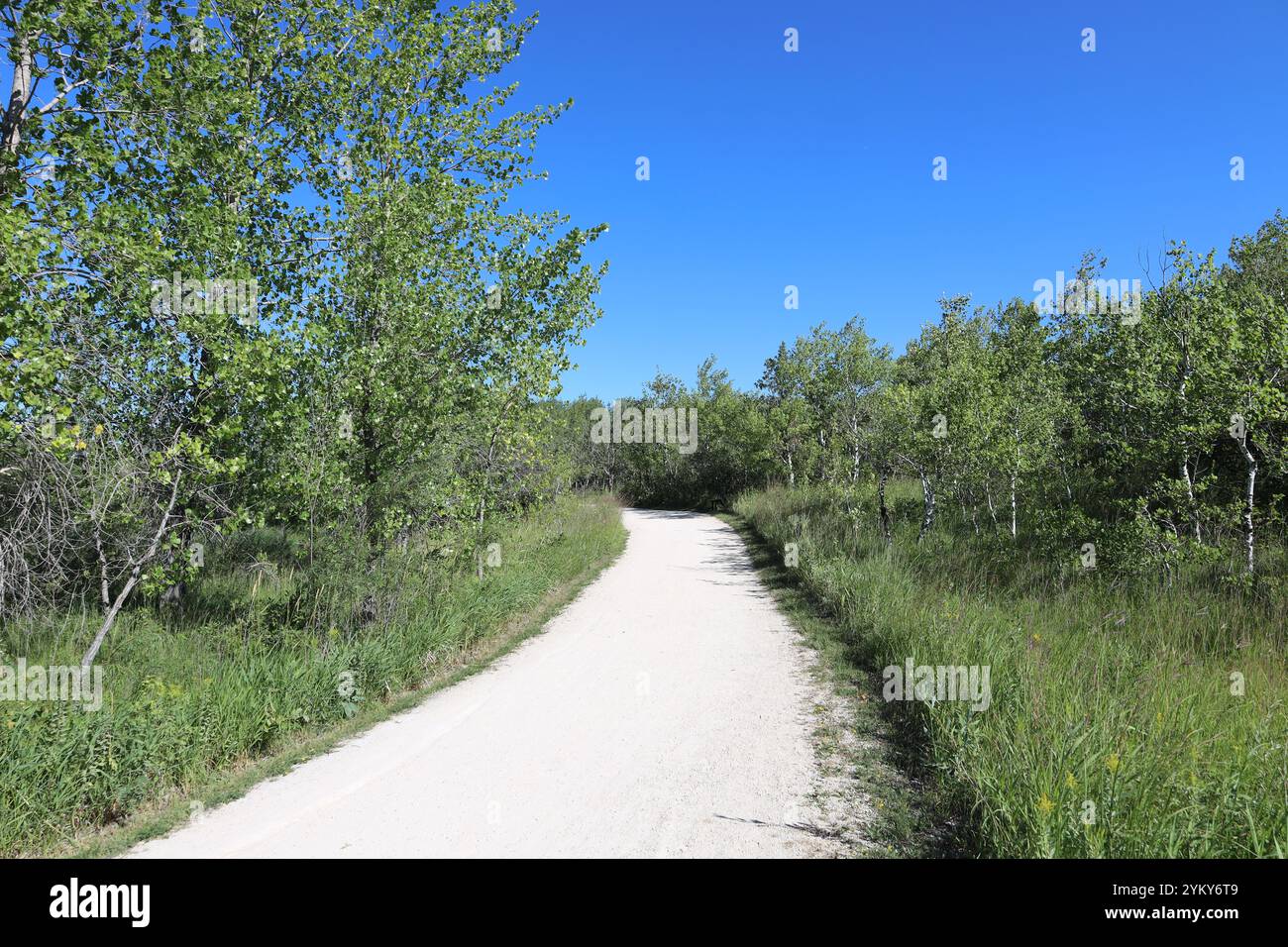 Gravel pathway with rocks hi-res stock photography and images - Alamy