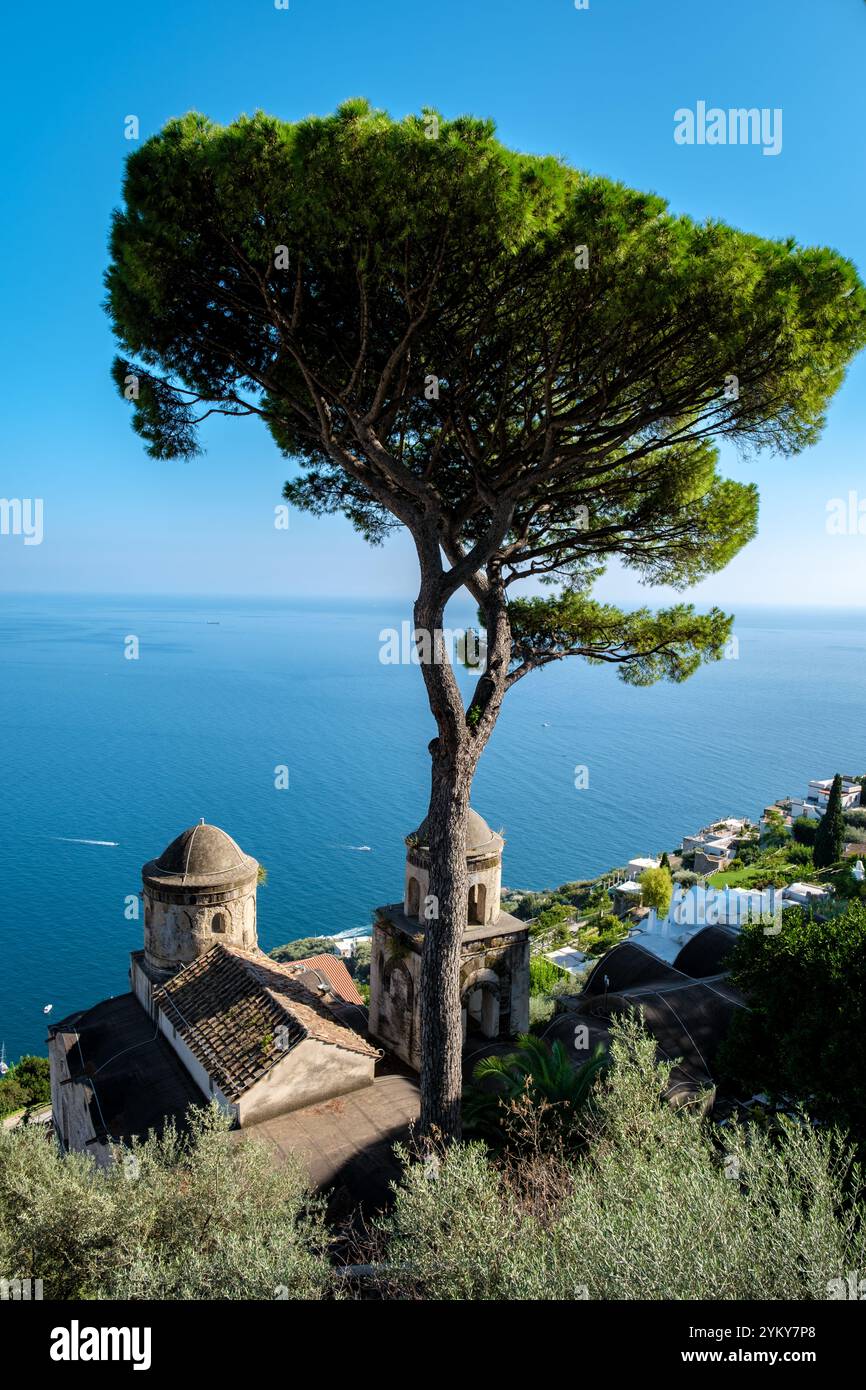 Perched high above the azure waters, a majestic tree stands sentinel ...