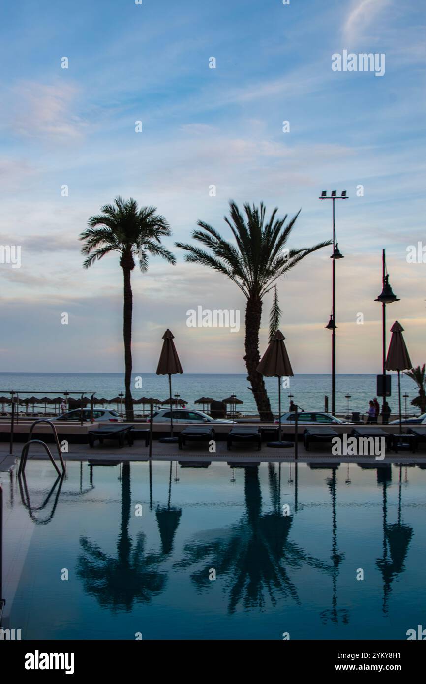 Pool beach sunset reflection palm hi-res stock photography and images ...