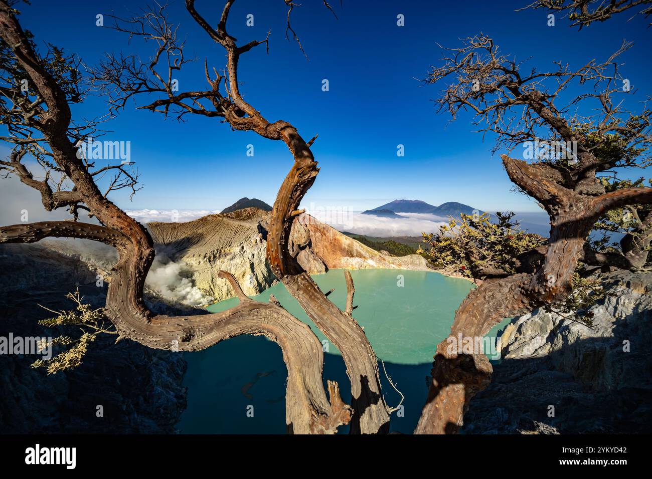 Aerial view Kawah Ijen volcano with turquoise sulfur water lake at sunrise.Amazing nature ...