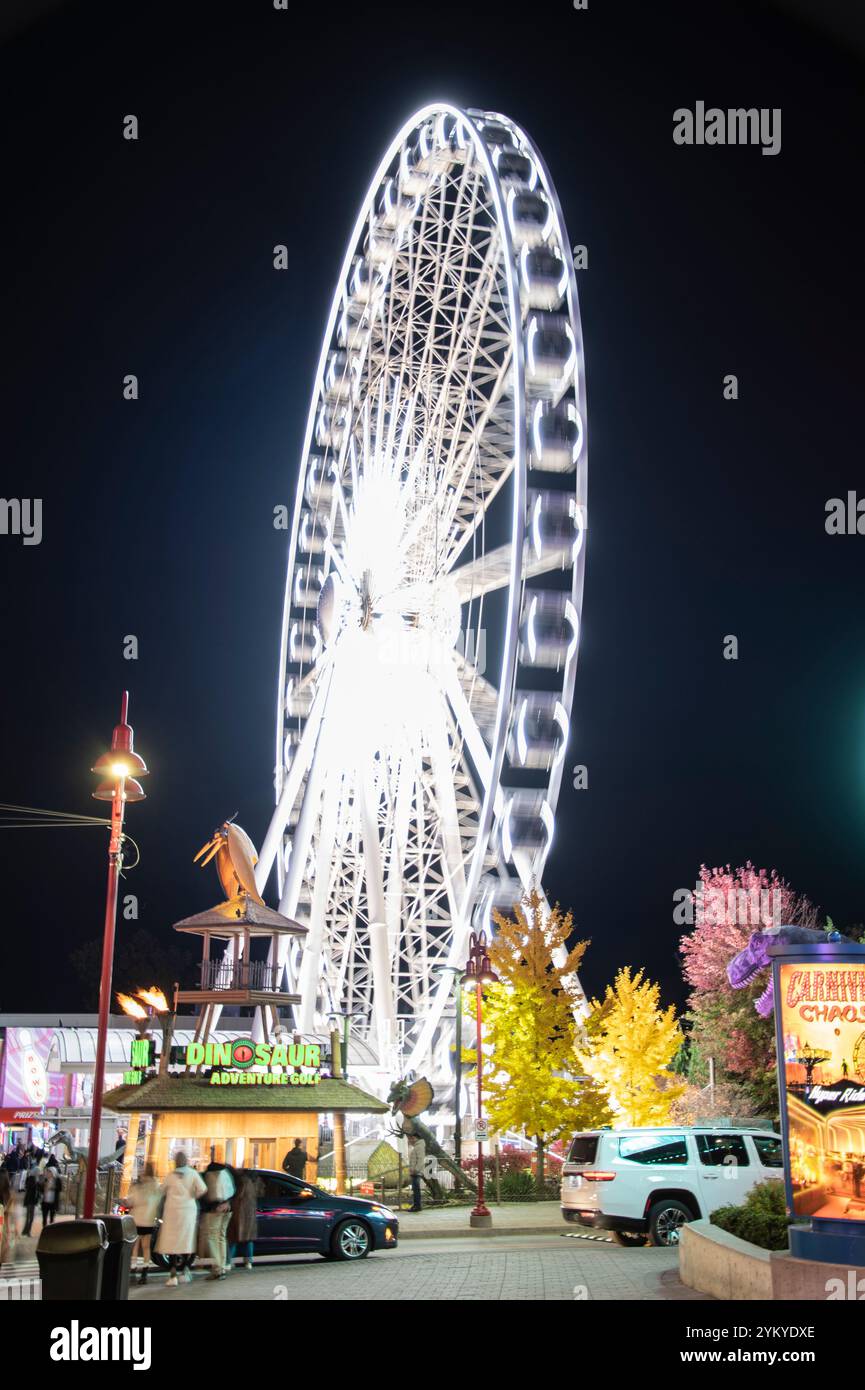 Night sky observation hi-res stock photography and images - Alamy