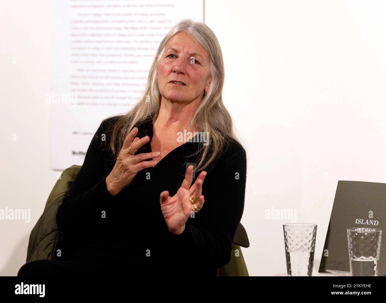 November 19, 2024 - Brattleboro, Vermont, U.S.A. - Photographer SUSAN ...