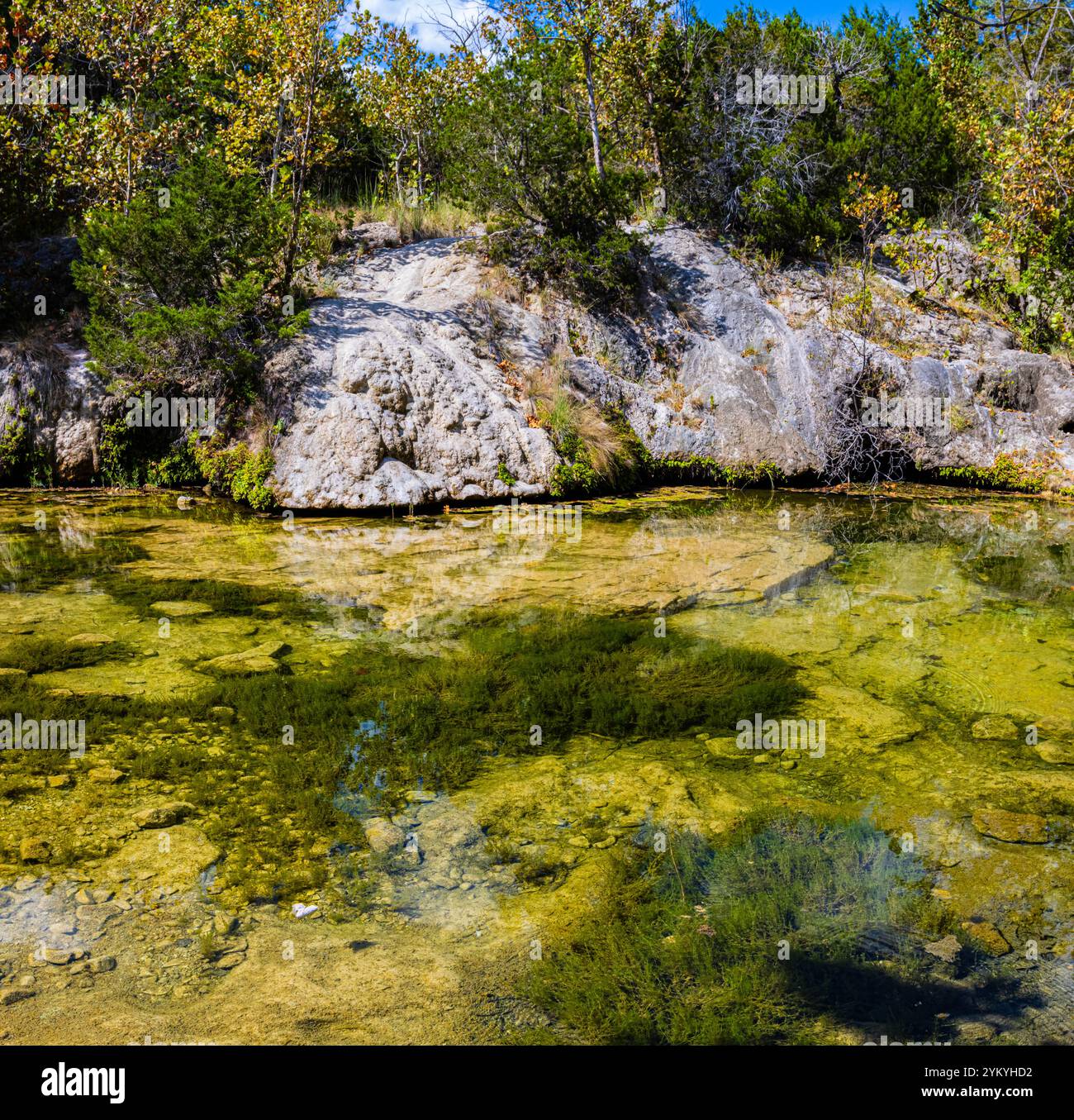 Small Pool Surrounded by The Limestone Walls of Spicewood Canyon ...