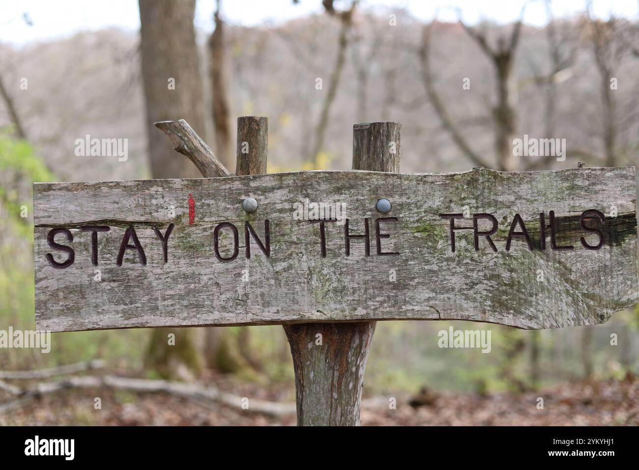 Stay on the trail wooden sign in nature park Stock Photo - Alamy