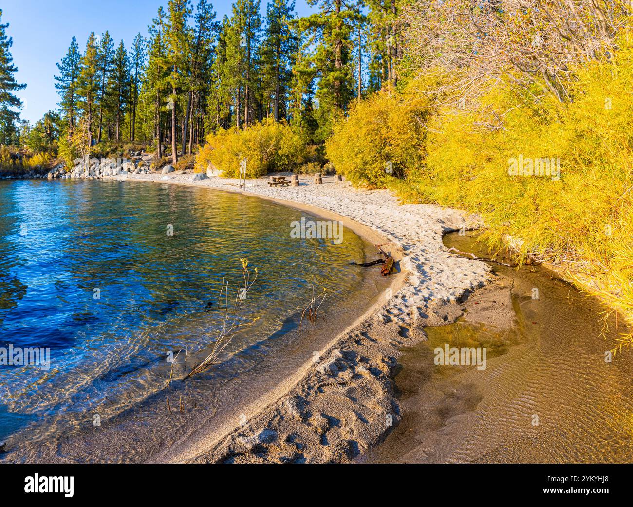 Lake tahoe beach bay hi-res stock photography and images - Alamy