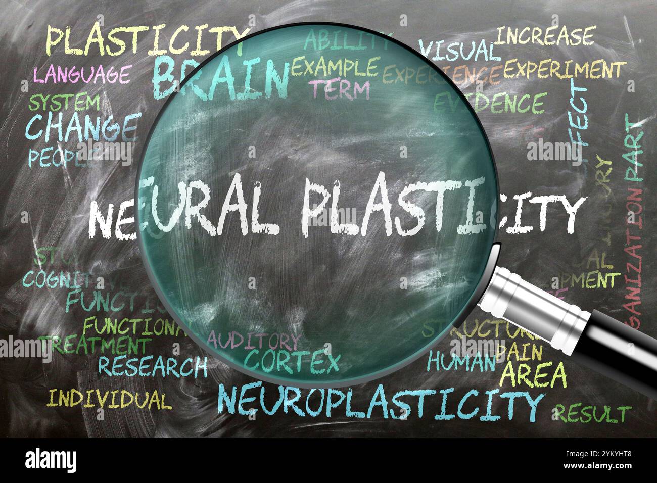 Neural plasticity symbol hi-res stock photography and images - Alamy