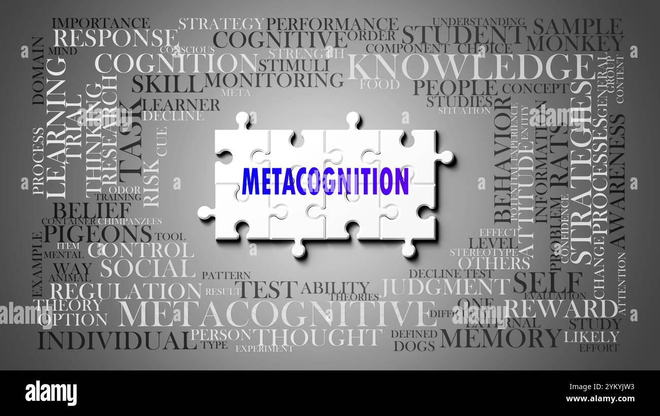 Metacognition As A Complex Subject Related To Important Topics Spreading Around As A Word Cloud