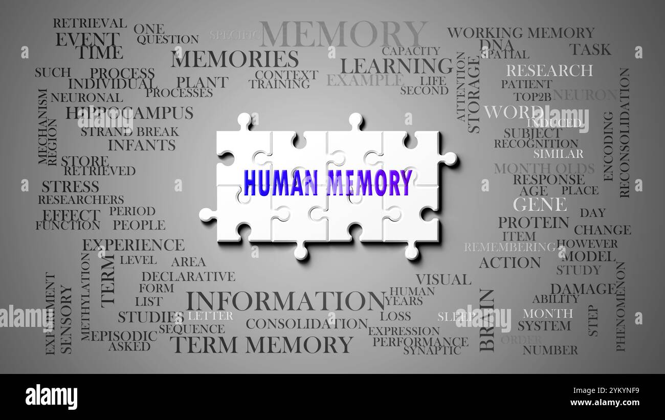 Human Memory as a complex subject, related to important topics ...