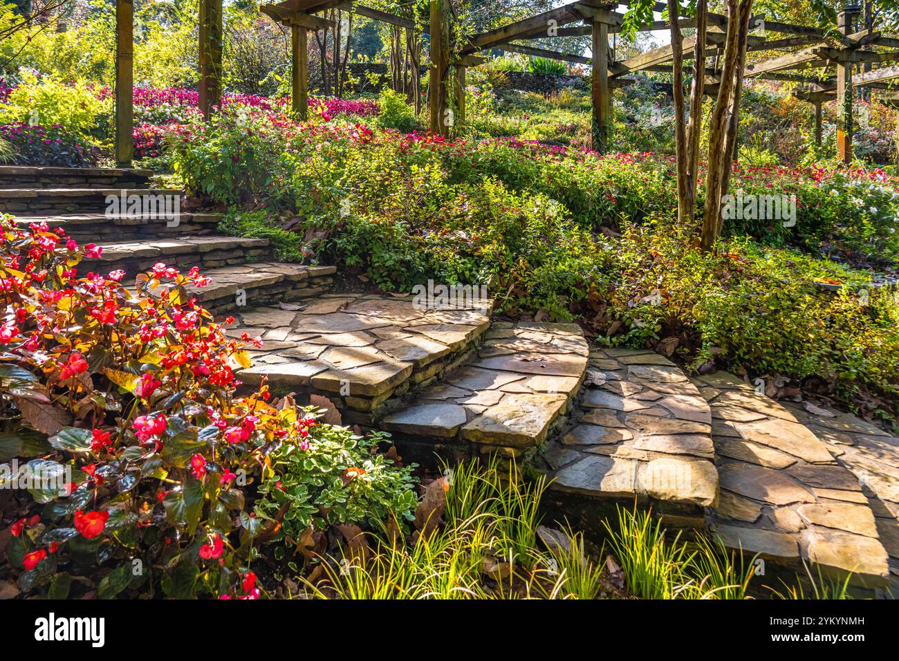 Sunlight on stone steps in the beautiful Manor House Garden at Gibbs ...