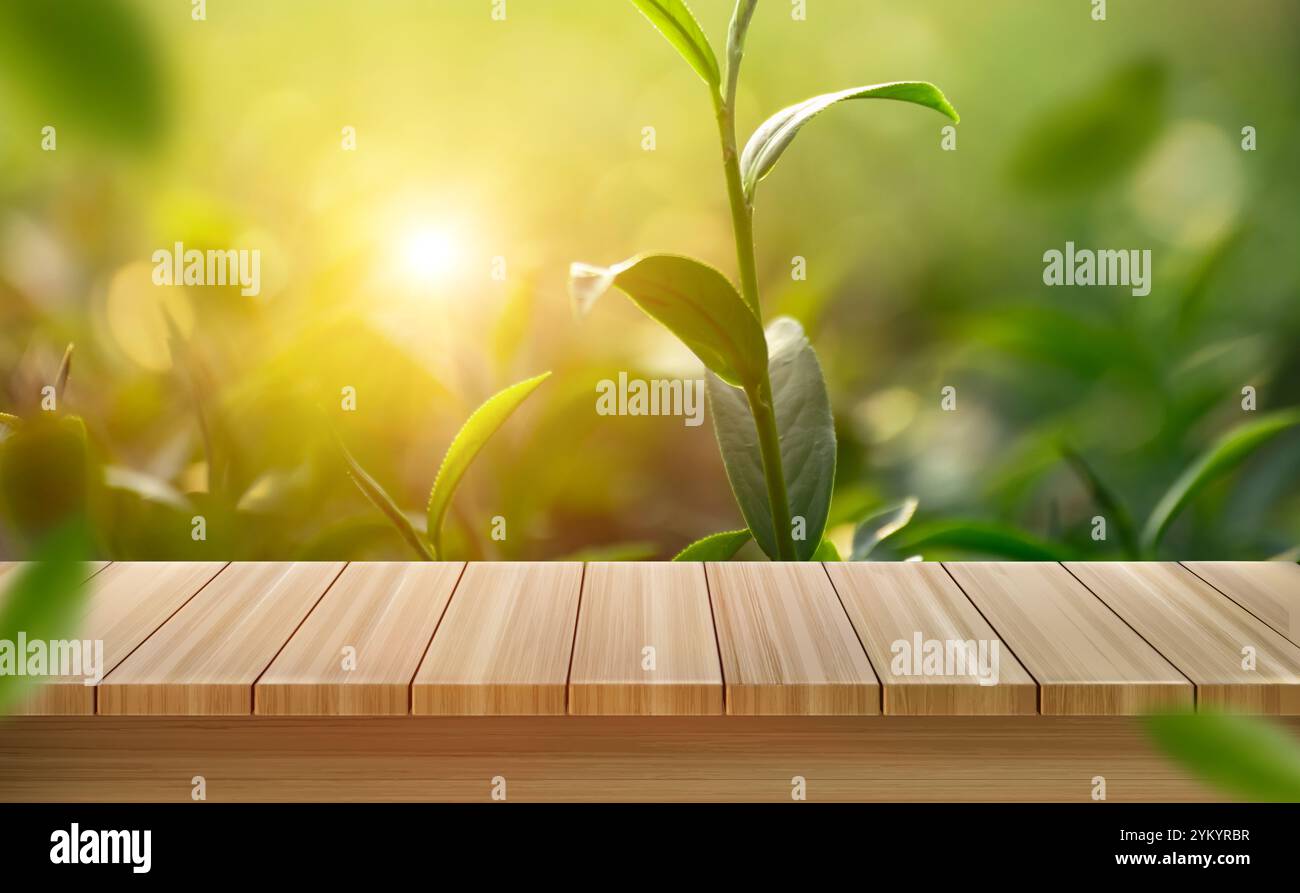 Wood floor with blurred trees of nature park background and summer ...