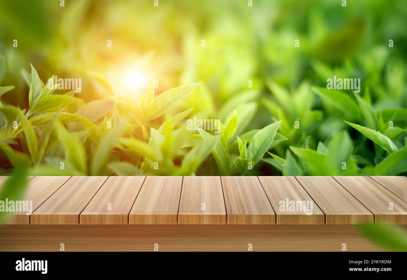 Wood floor with blurred trees of nature park background and summer ...