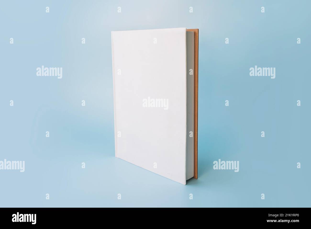 Book mockup standing hi-res stock photography and images - Alamy