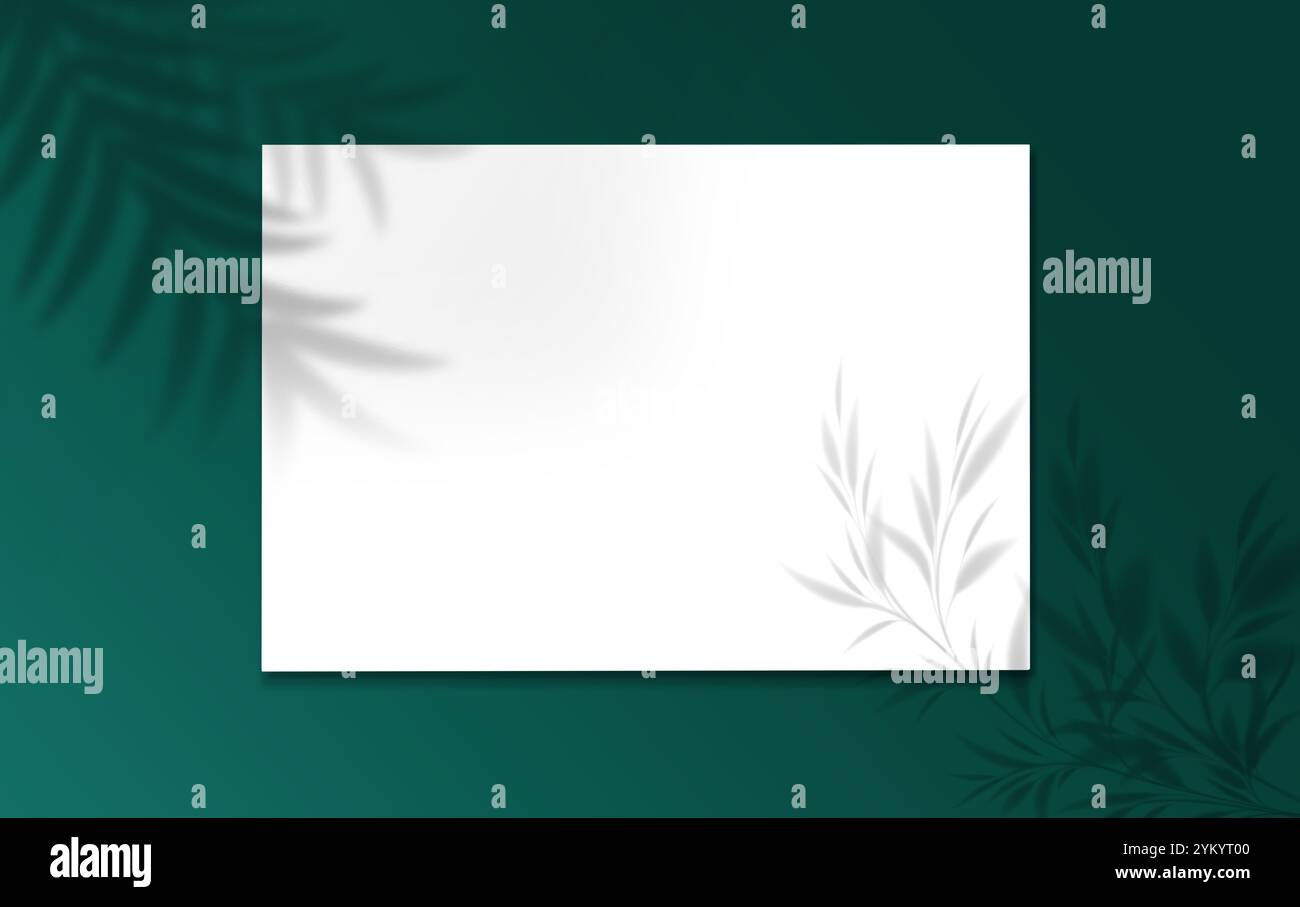 Square Paper Mockup green and white color with realistic shadows ...