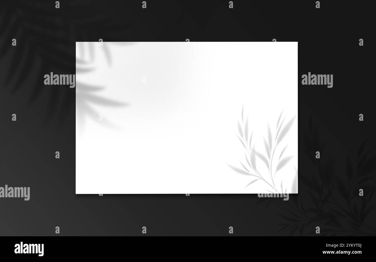 Square Paper Mockup black and white color with realistic shadows ...