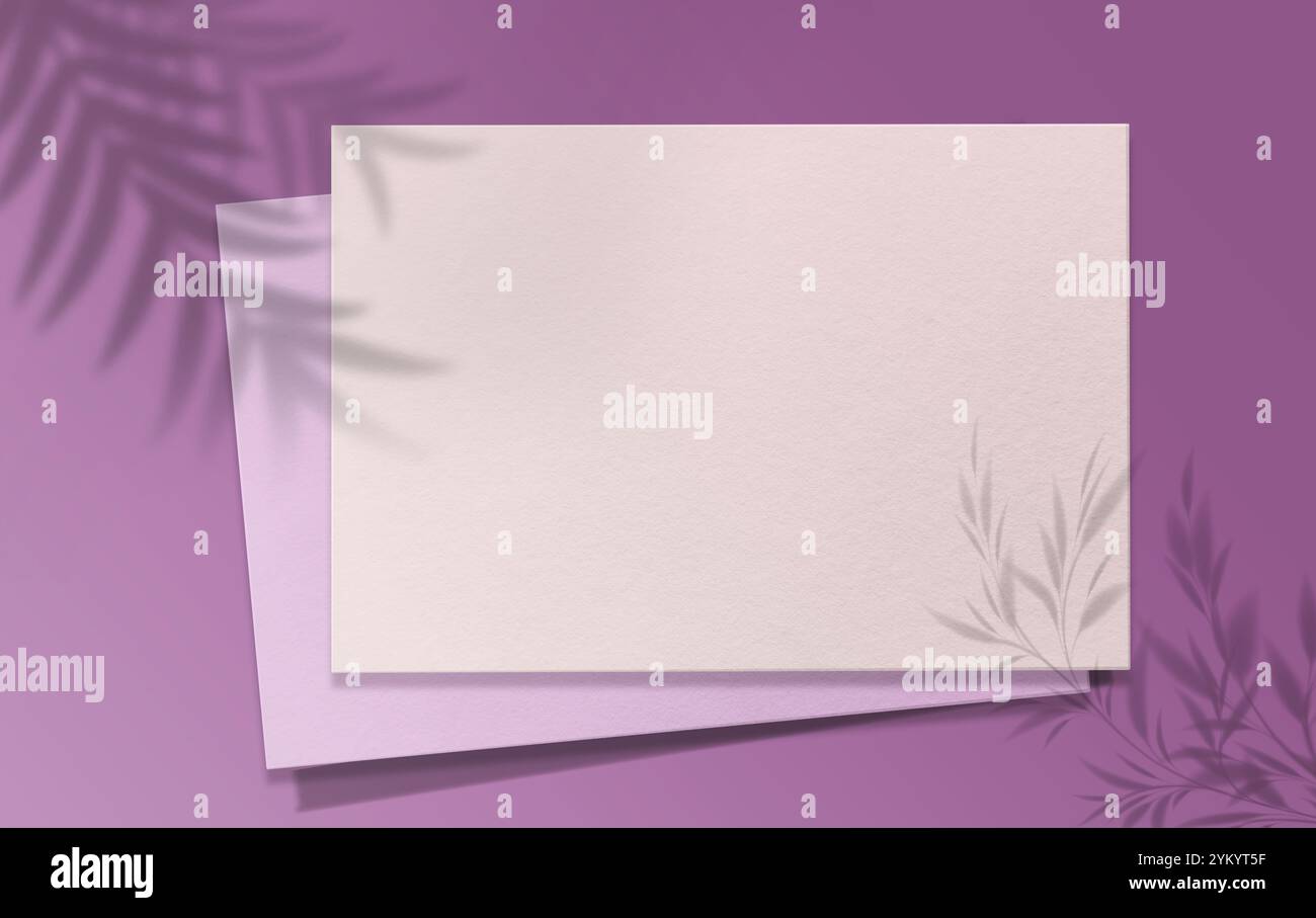 Square Paper Mockup Purple and white color with realistic shadows ...