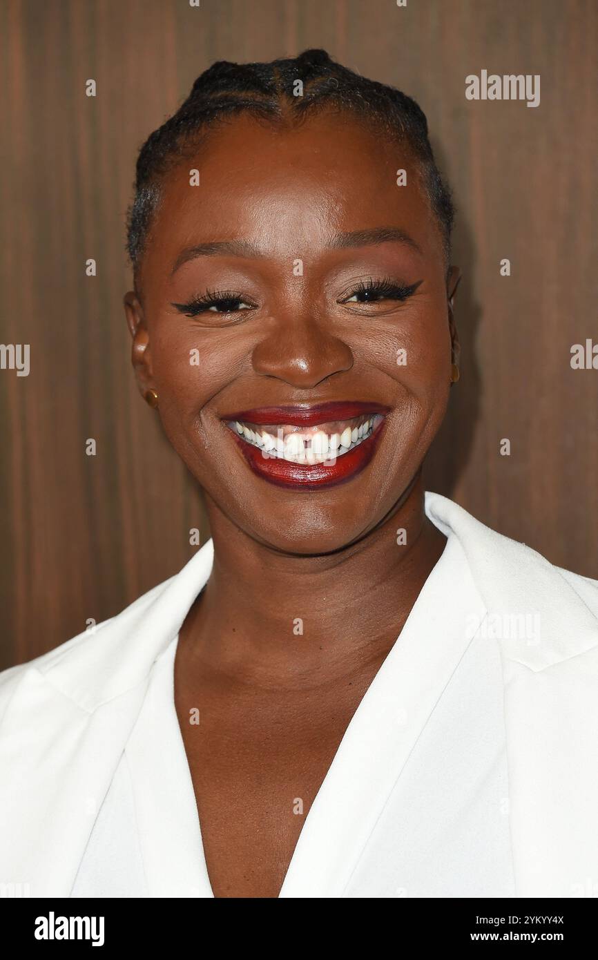 LOS ANGELES - NOV 17: Folake Olowofoyeku at the 2024 Ebony Power 100 ...