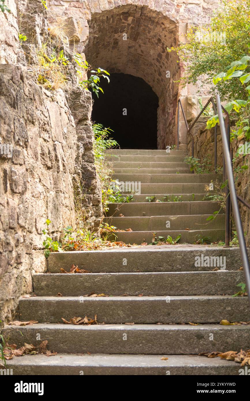 Narrow steps in an old castle Stock Photo - Alamy