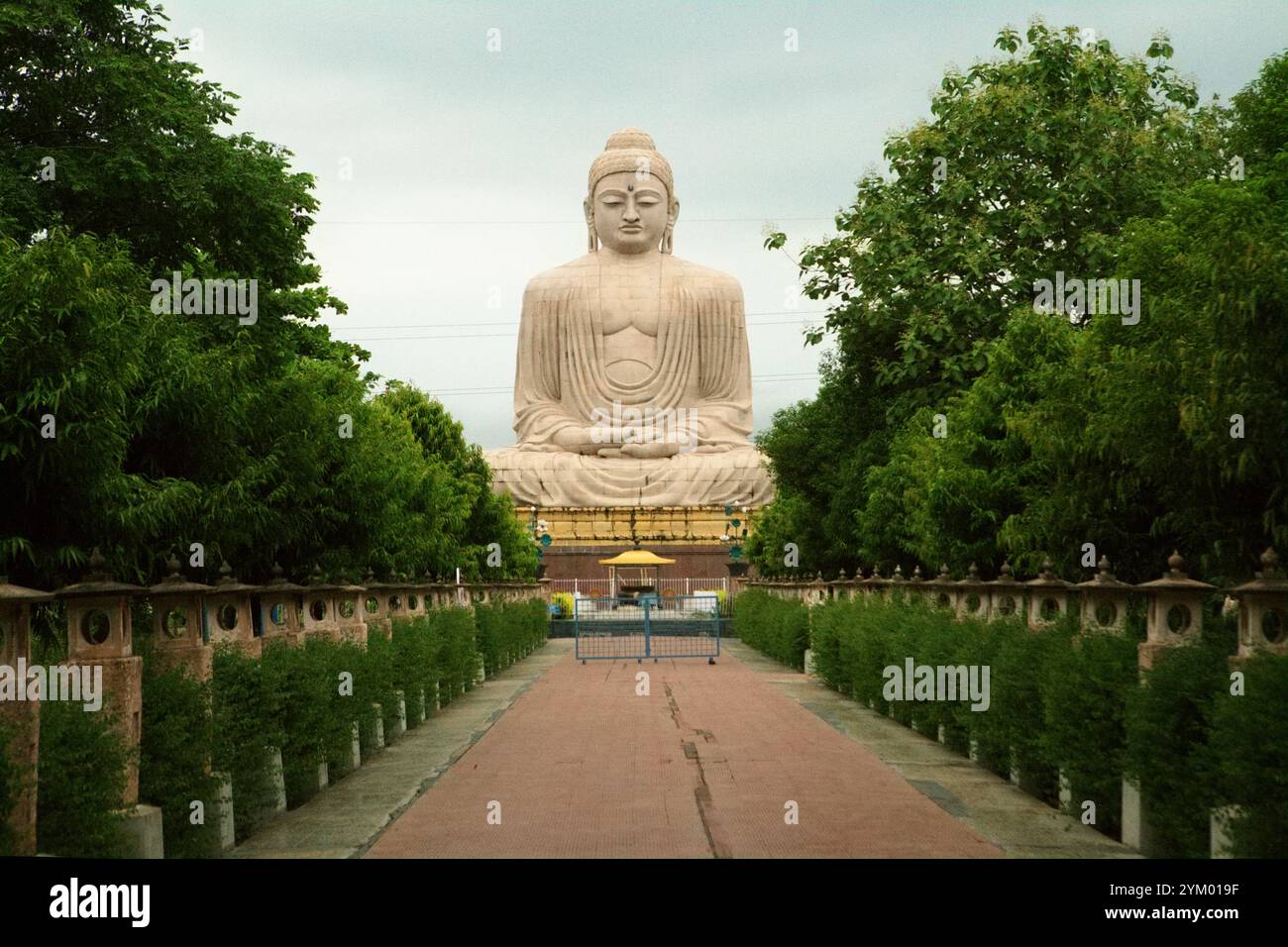 A 64-feet-high Great Buddha statue in a meditation pose that made of a ...