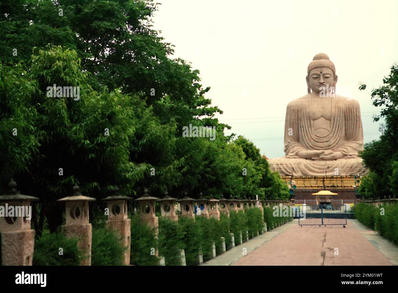 A 64-feet-high Great Buddha statue in a meditation pose that made of a ...