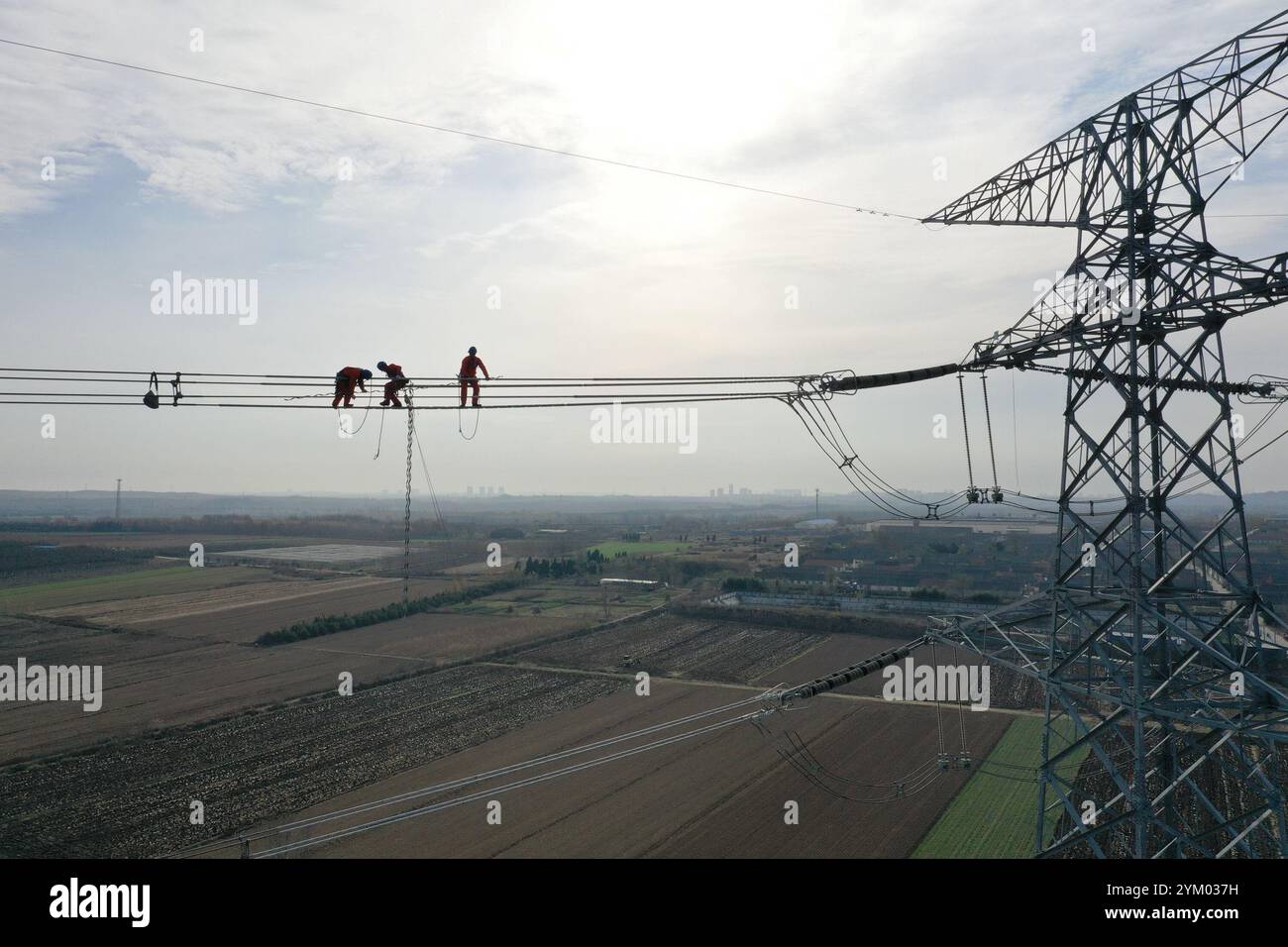 WEIHAI, CHINA - NOVEMBER 19, 2024 - Power inspection workers use ...