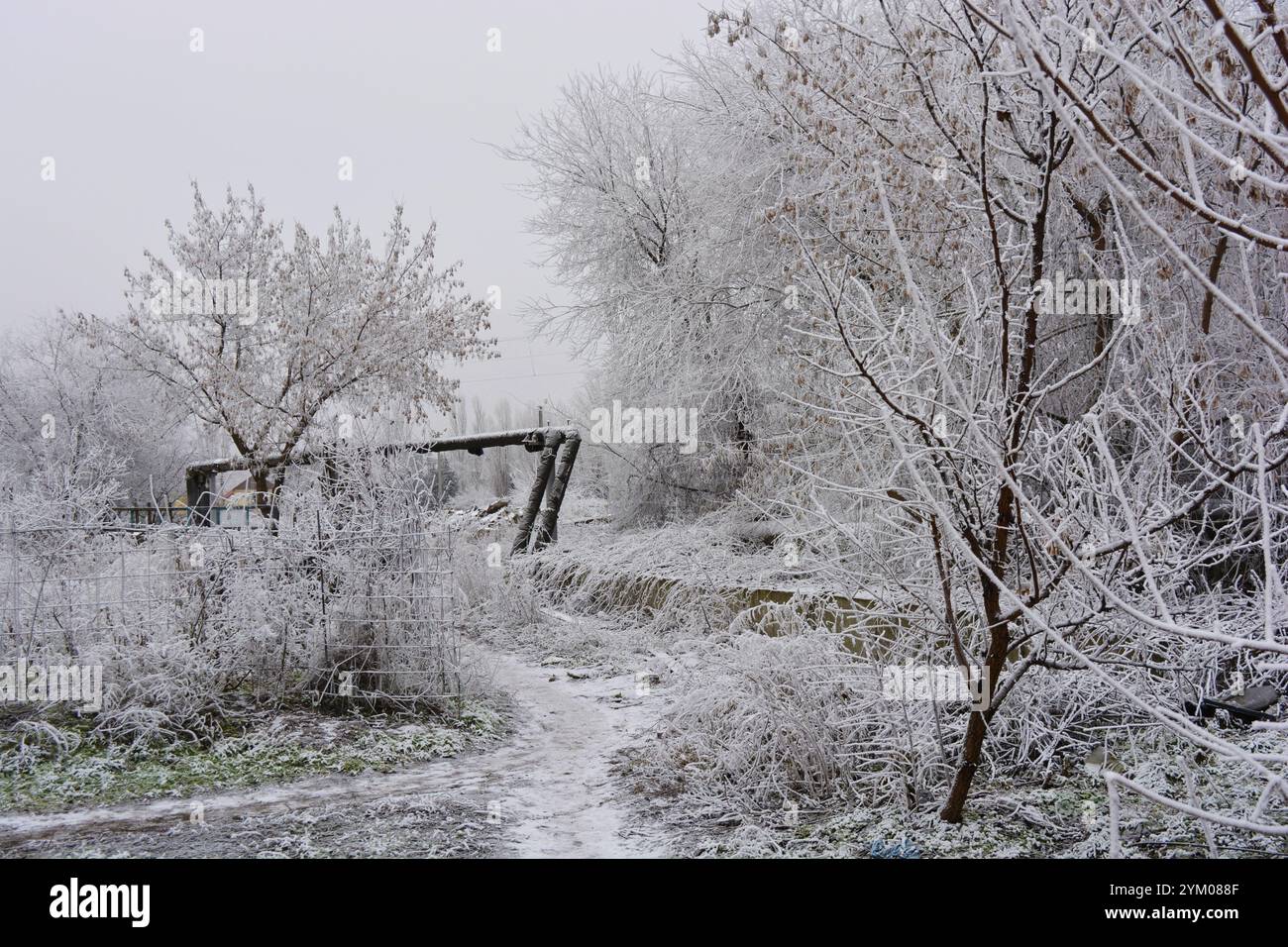 Beautiful winter landscape, streets, roads, paths with buildings and ...