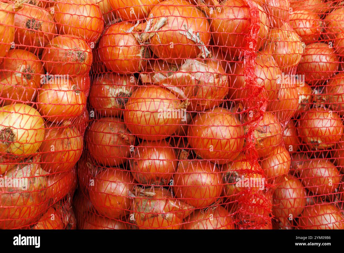 Bunch of fresh onions packed in red mesh bags. Enlarged image of onion ...