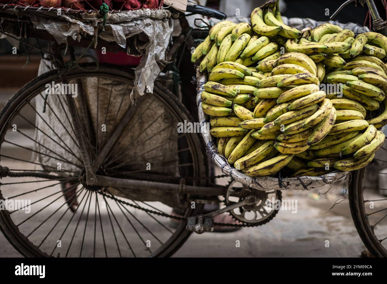 Bananas on bicycle hi-res stock photography and images - Alamy